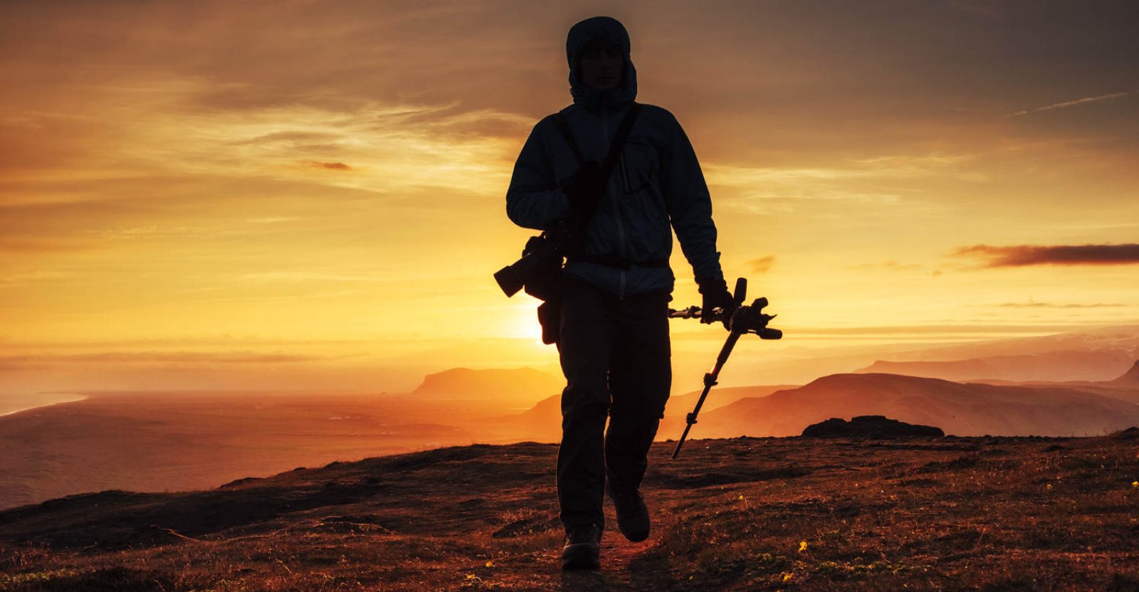 The Happiness of Being a Fighter - insightsight