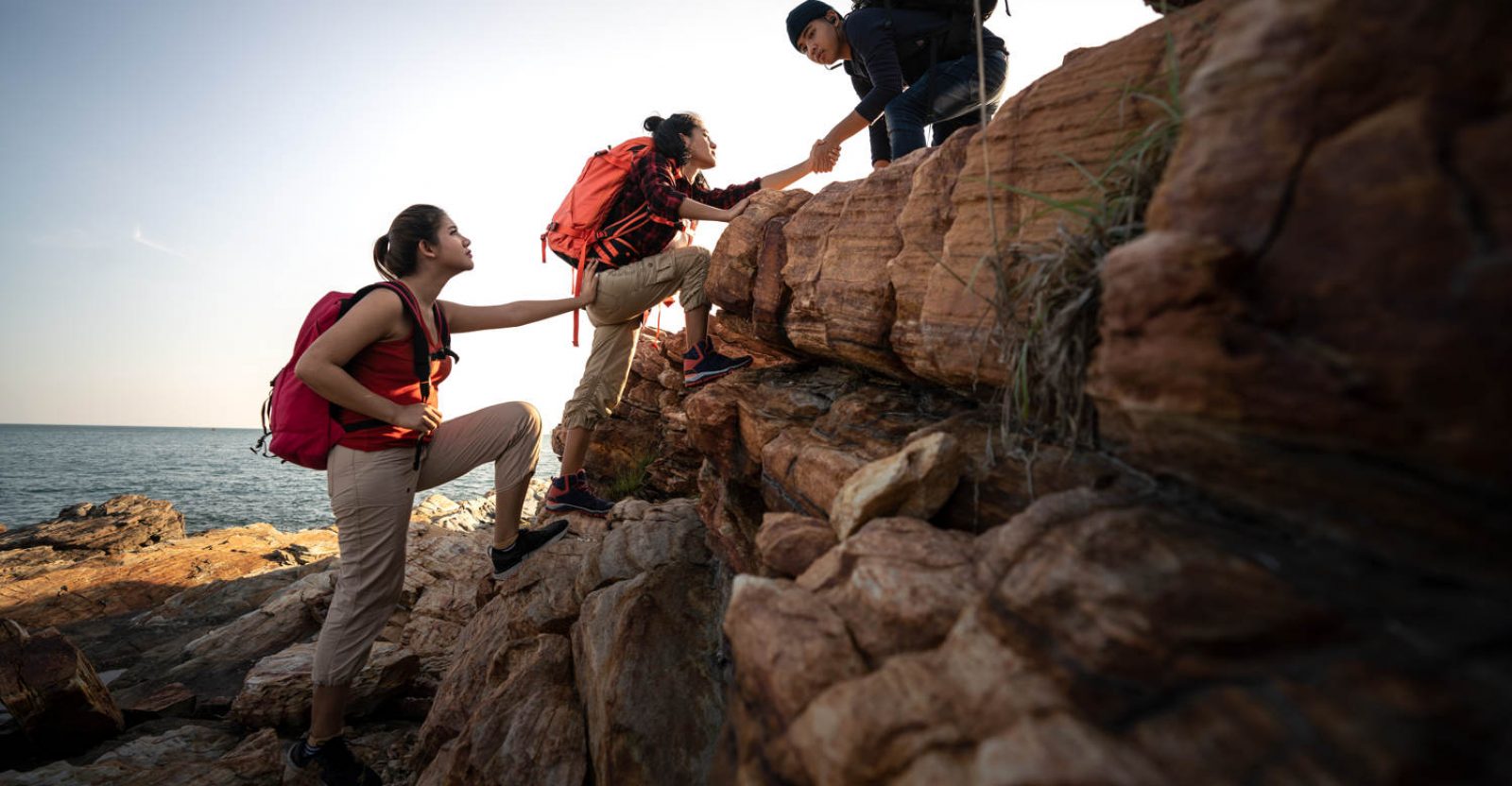 The Happiness of Being Useful - insightsight